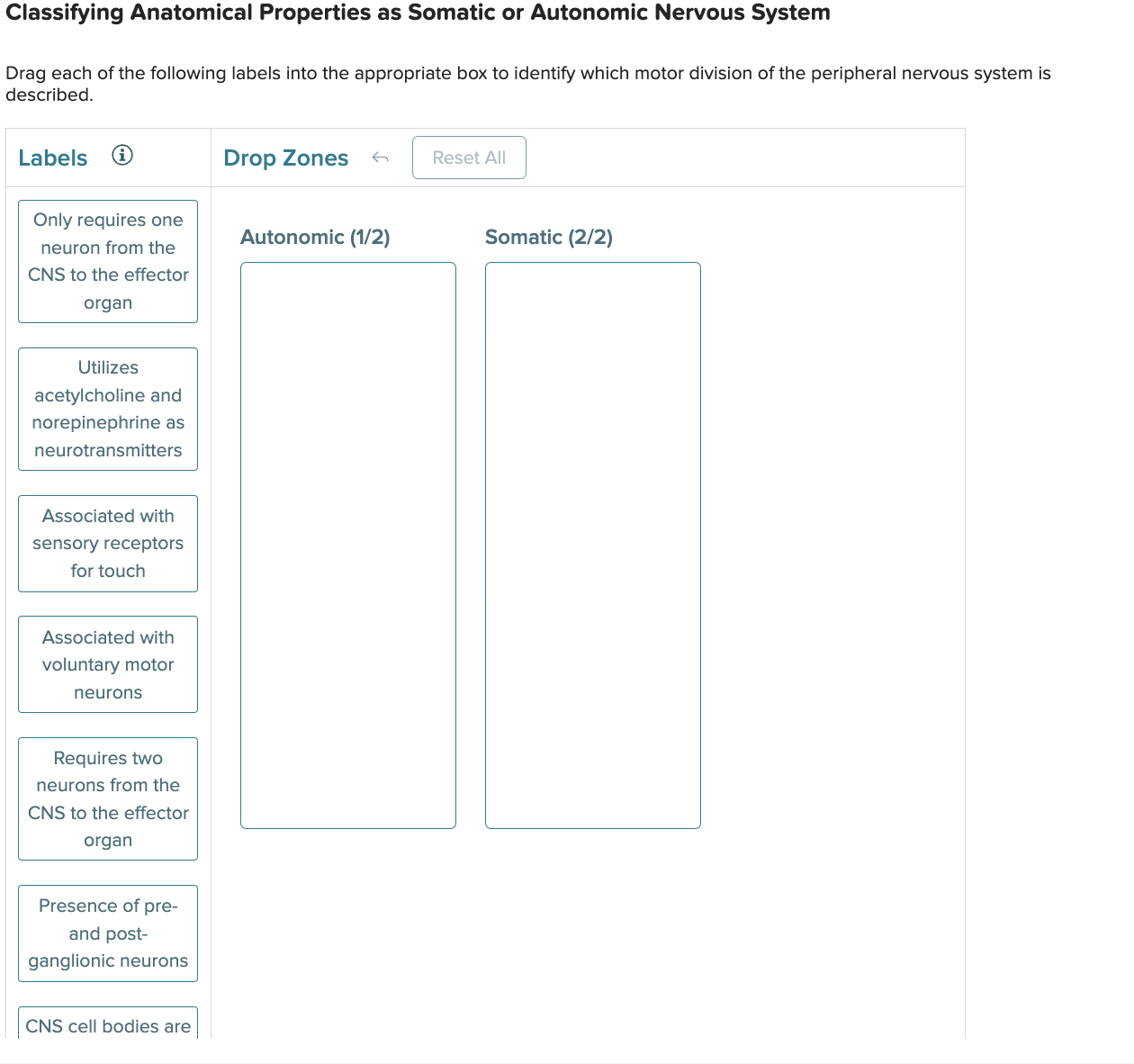 Solved Classifying Anatomical Properties as Somatic or | Chegg.com