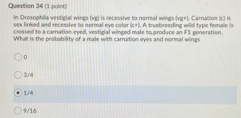 Solved Question 34 (1 point) In Drosophila vestigial wings | Chegg.com