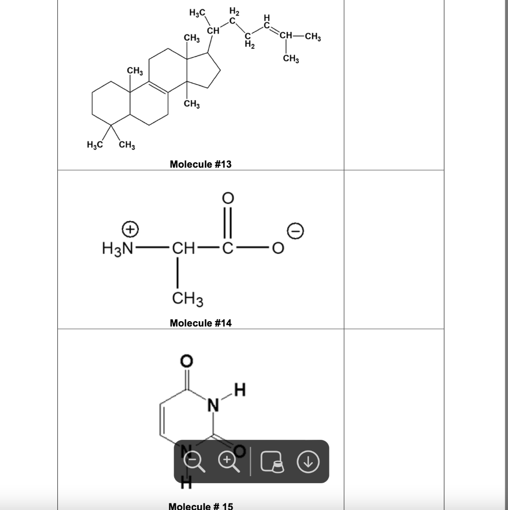 Solved BIOCHEMICAL MOLECULES - STRUCTURE AND FUNCTION ENTER | Chegg.com