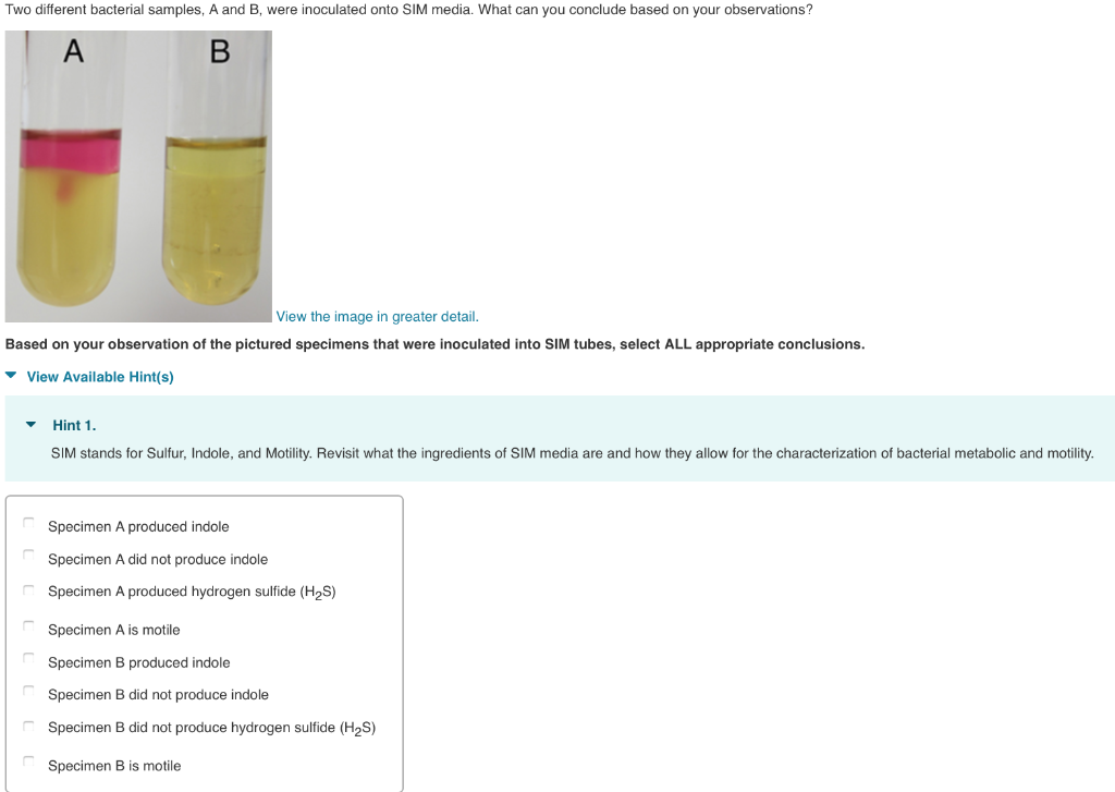 Solved Please answer in the same format that the options are | Chegg.com