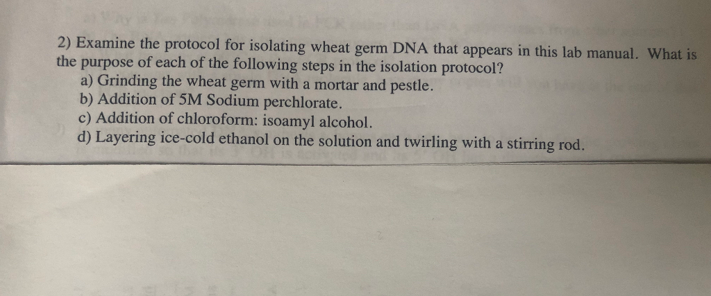 Solved 2) Examine the protocol for isolating wheat germ DNA | Chegg.com