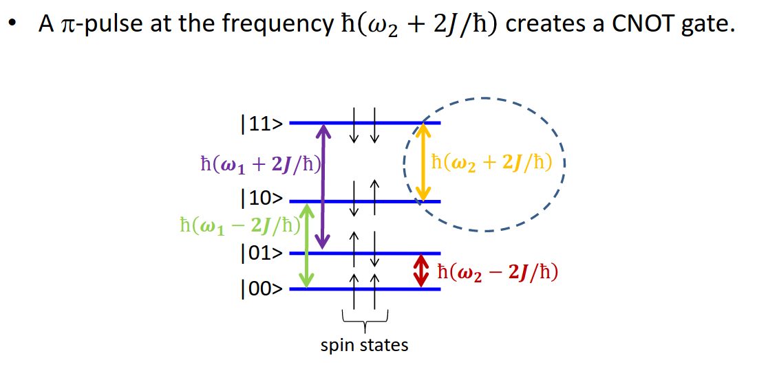 Controlled NOT or CNOT Gate • CNOT: A two-qubit | Chegg.com