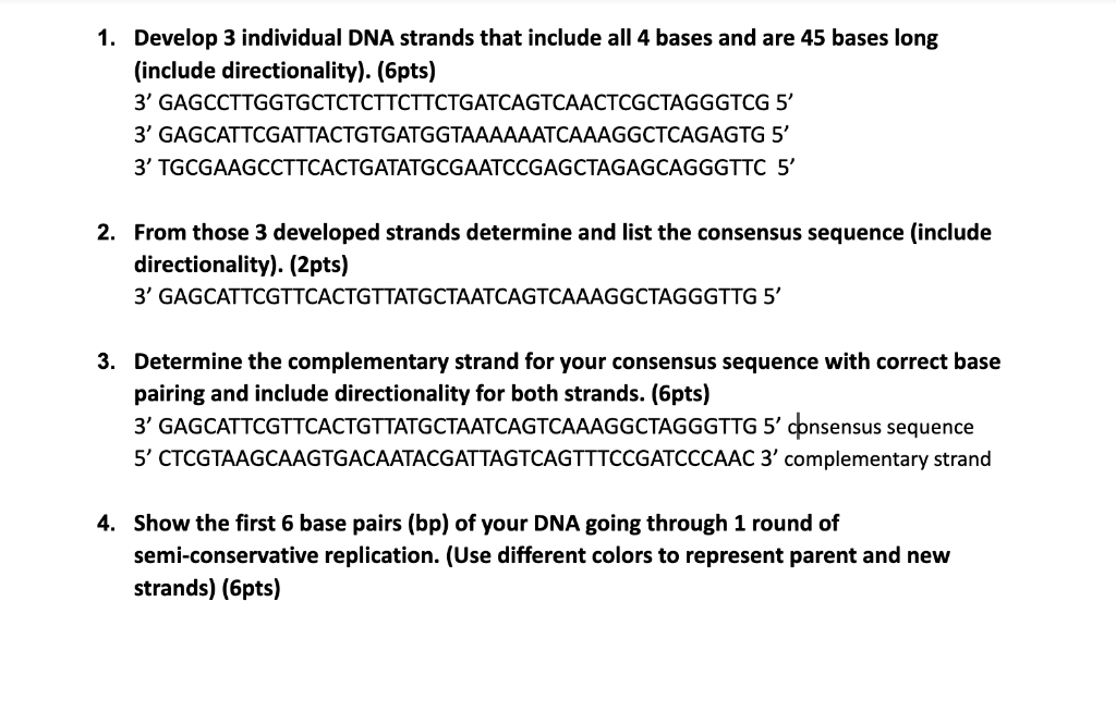 Solved 1. Develop 3 individual DNA strands that include all | Chegg.com