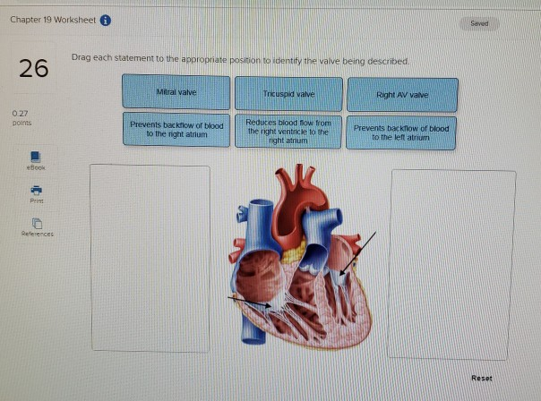 Solved drag each statement to the appropriate position to | Chegg.com