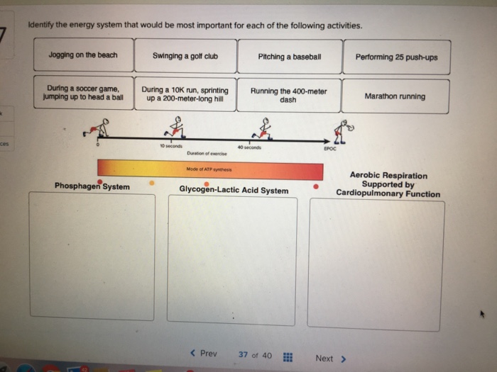 Solved 1 Homework Assignment Saved He Identify the energy | Chegg.com