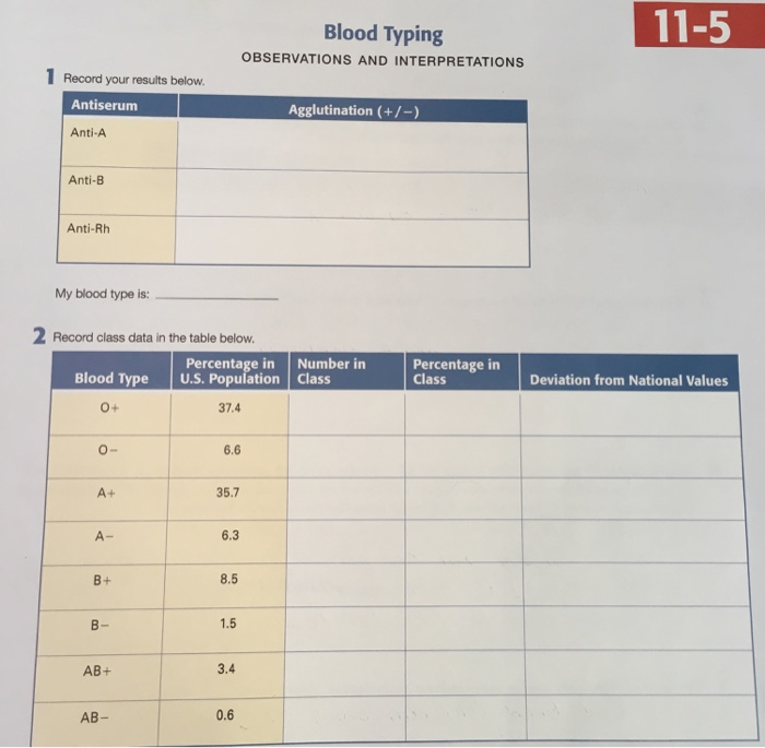 Solved 11-5 Blood Typing OBSERVATIONS AND INTERPRETATIONS | Chegg.com