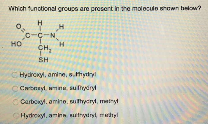 Solved Which functional groups are present in the molecule | Chegg.com