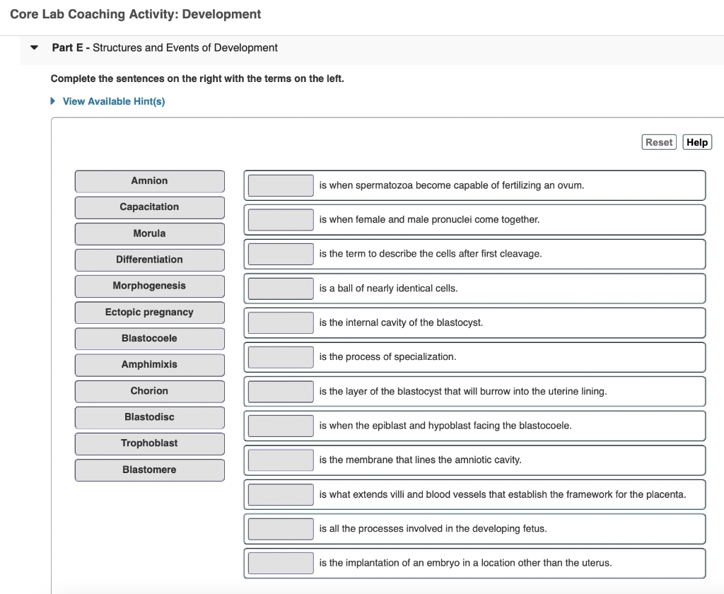 Solved Core Lab Coaching Activity: Development Part E - | Chegg.com