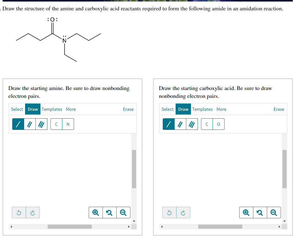 Solved Draw the starting amine. Be sure to draw | Chegg.com