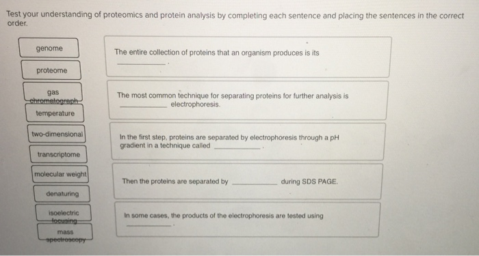 Solved Test your understanding of proteomics and protein | Chegg.com