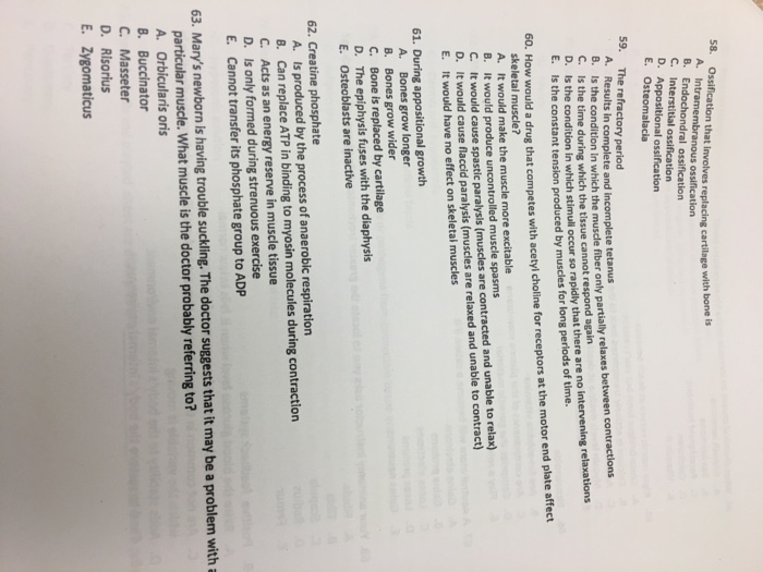 Solved Ossification that involves replacing cartilage with | Chegg.com