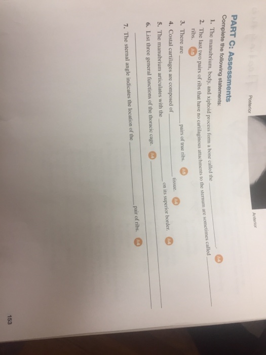 Solved The Manubrium Body And Xiphoid Process Form A Bone