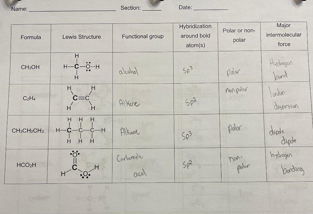 Solved Name: Section: Date: | Chegg.com Solved Name: Section: Date: | Chegg.com