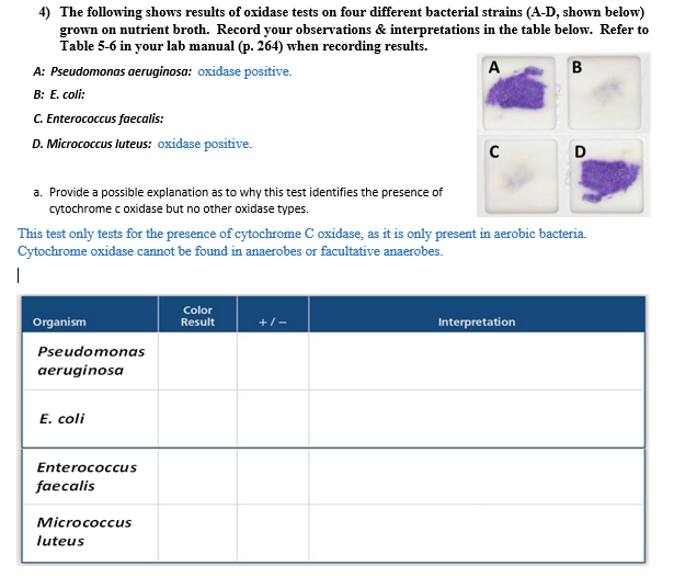 Solved 4) The following shows results of oxidase tests on | Chegg.com