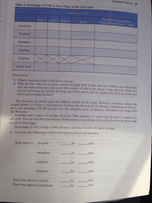 Solved Obtain a prepared slide of an onion root tip. 2. | Chegg.com