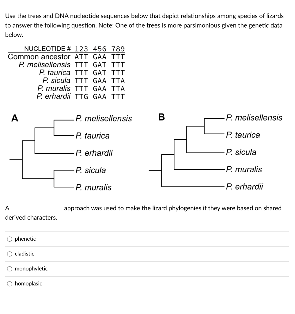 Solved Use the trees and DNA nucleotide sequences below that | Chegg.com