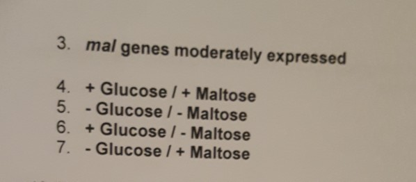 Solved 38-45. Consider regulation of the mal operon below. | Chegg.com