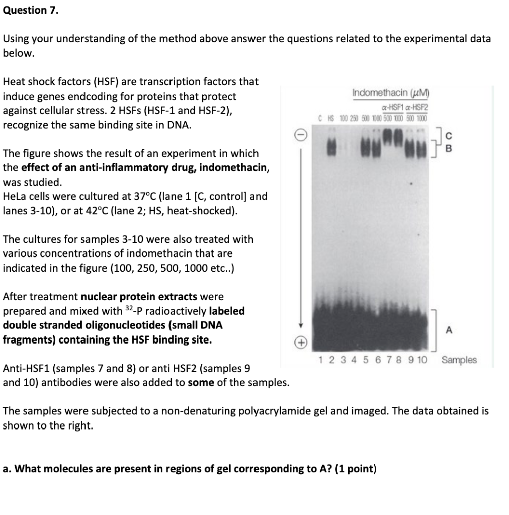 Solved Question 7. Using your understanding of the method | Chegg.com