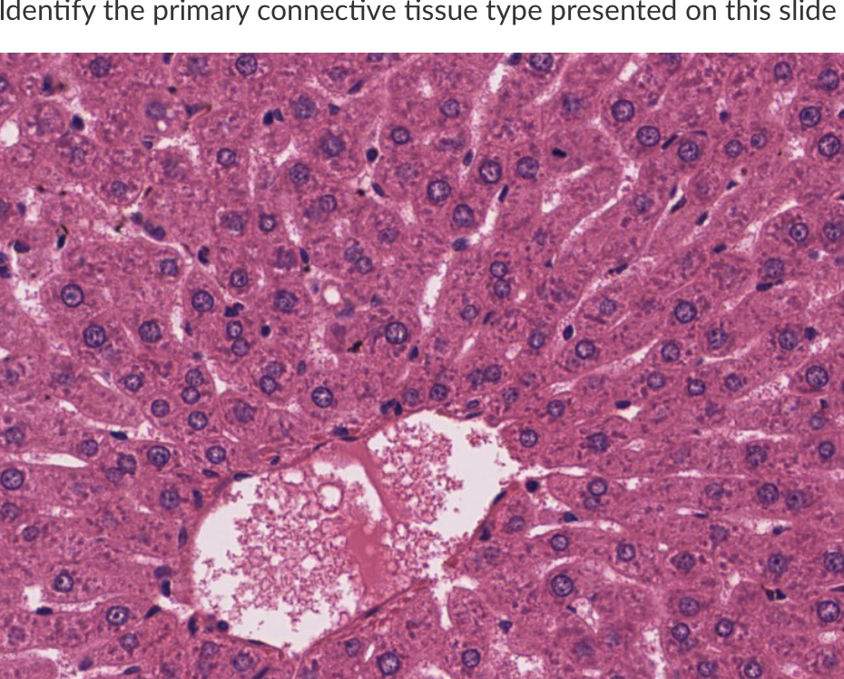 Solved Identify the cell indicated by the pointer Identify | Chegg.com