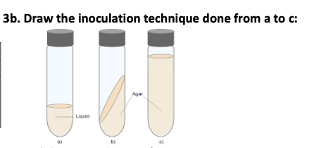 Solved 3a. Describe the process of inoculating microbes | Chegg.com