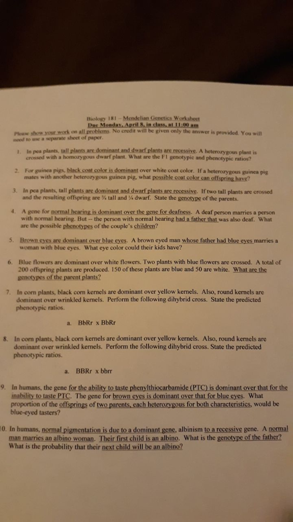 Solved Biology 181-Mendelian Genetics Worksheet Duc | Chegg.com
