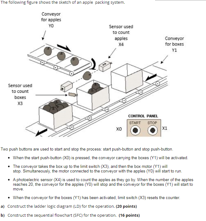 The following figure shows the sketch of an apple | Chegg.com