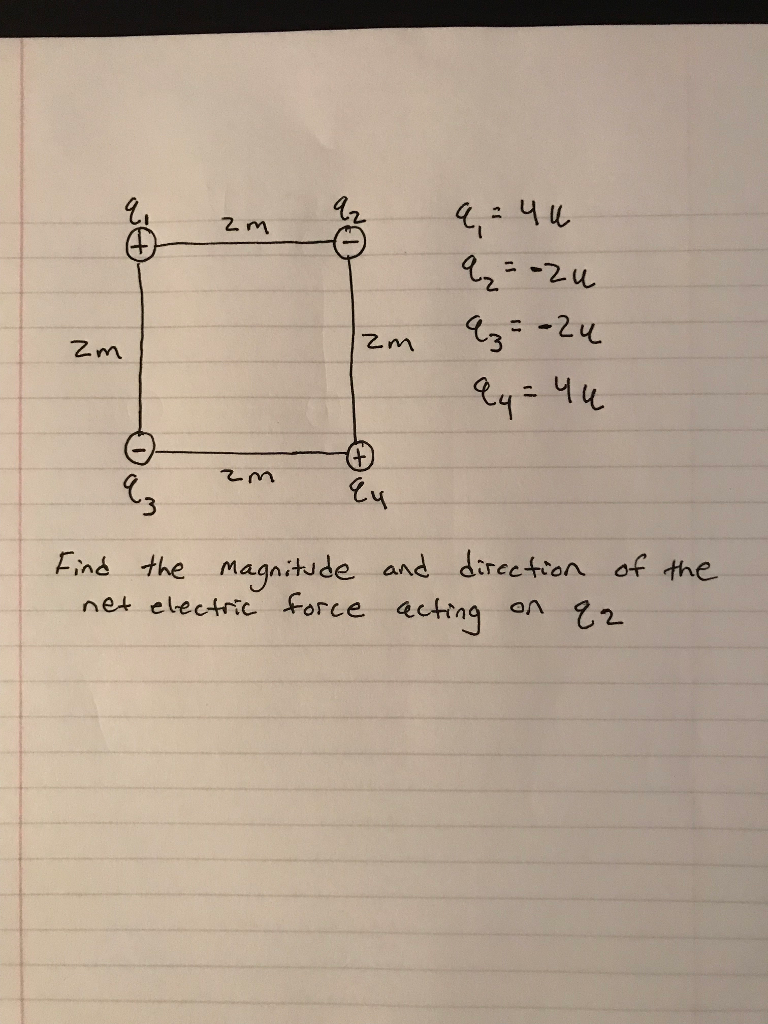 Solved find the magnitude and direction of the net electric | Chegg.com