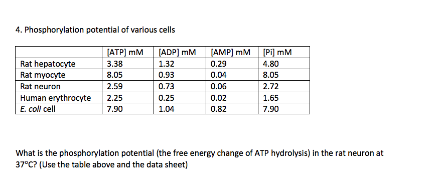 Solved 4. Phosphorylation potential of various cells Rat | Chegg.com