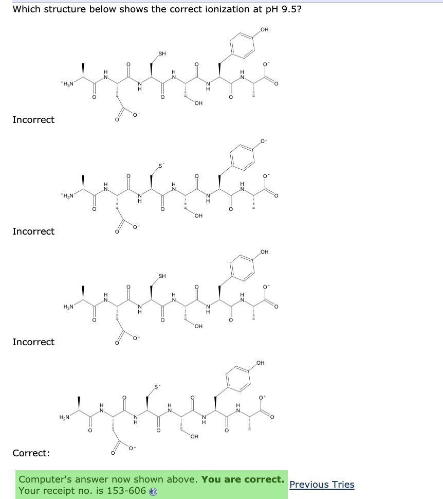 Solved Why is the last option the correct choice? How do you | Chegg.com