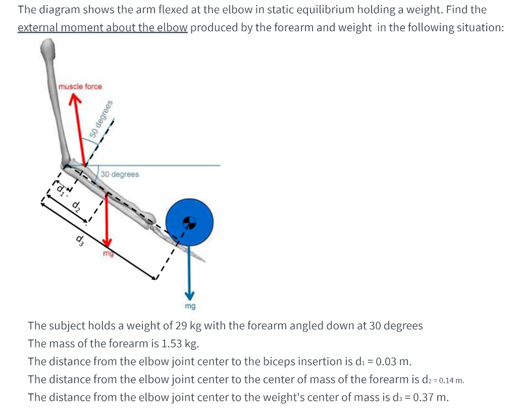 Solved The diagram shows the arm flexed at the elbow in | Chegg.com