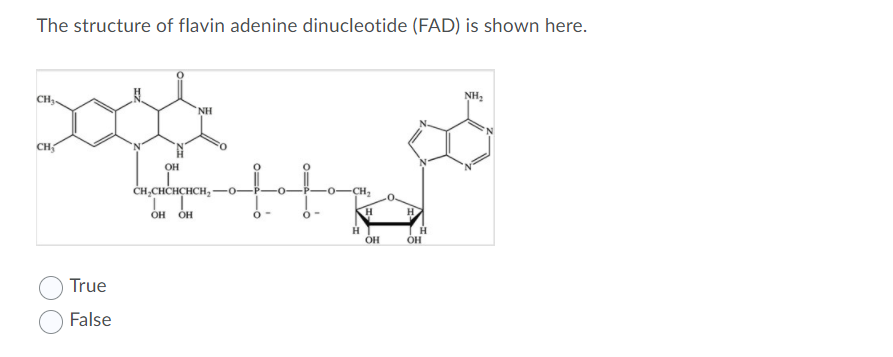 Solved Could you explain why each of these is true or false? | Chegg.com