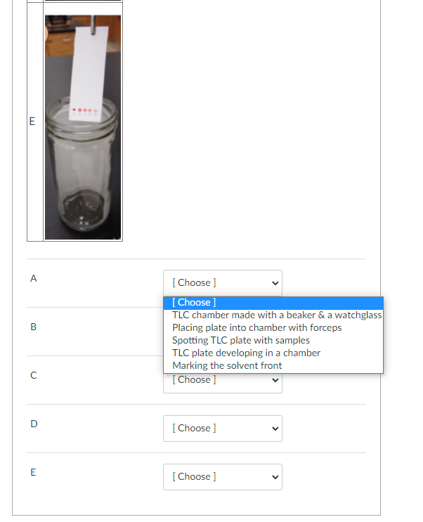 Solved E A B D E [Choose ] [Choose ] TLC chamber made with a | Chegg.com