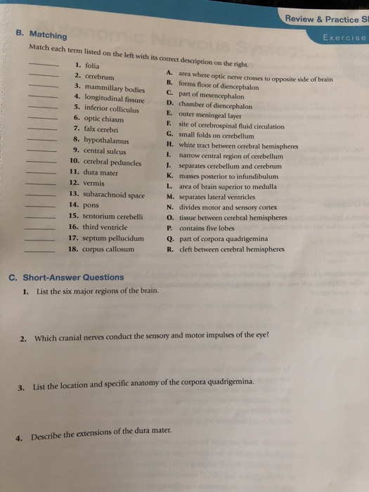 Solved Review & Practice S B. Matching Exercise Match each | Chegg.com