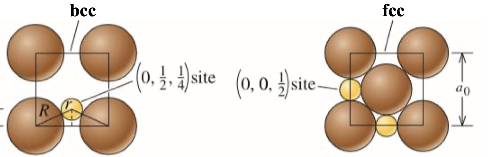 Solved Students learned that the two important structures of | Chegg.com