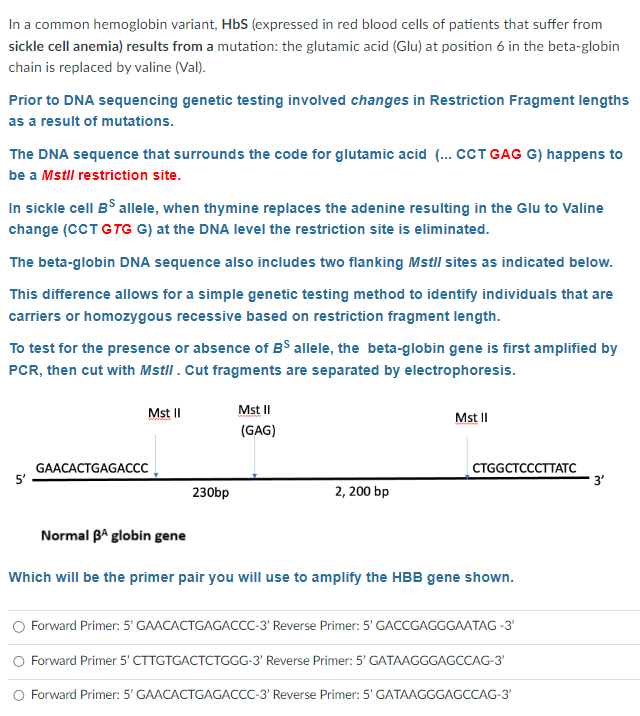 Solved In a common hemoglobin variant, HbS (expressed in red | Chegg.com