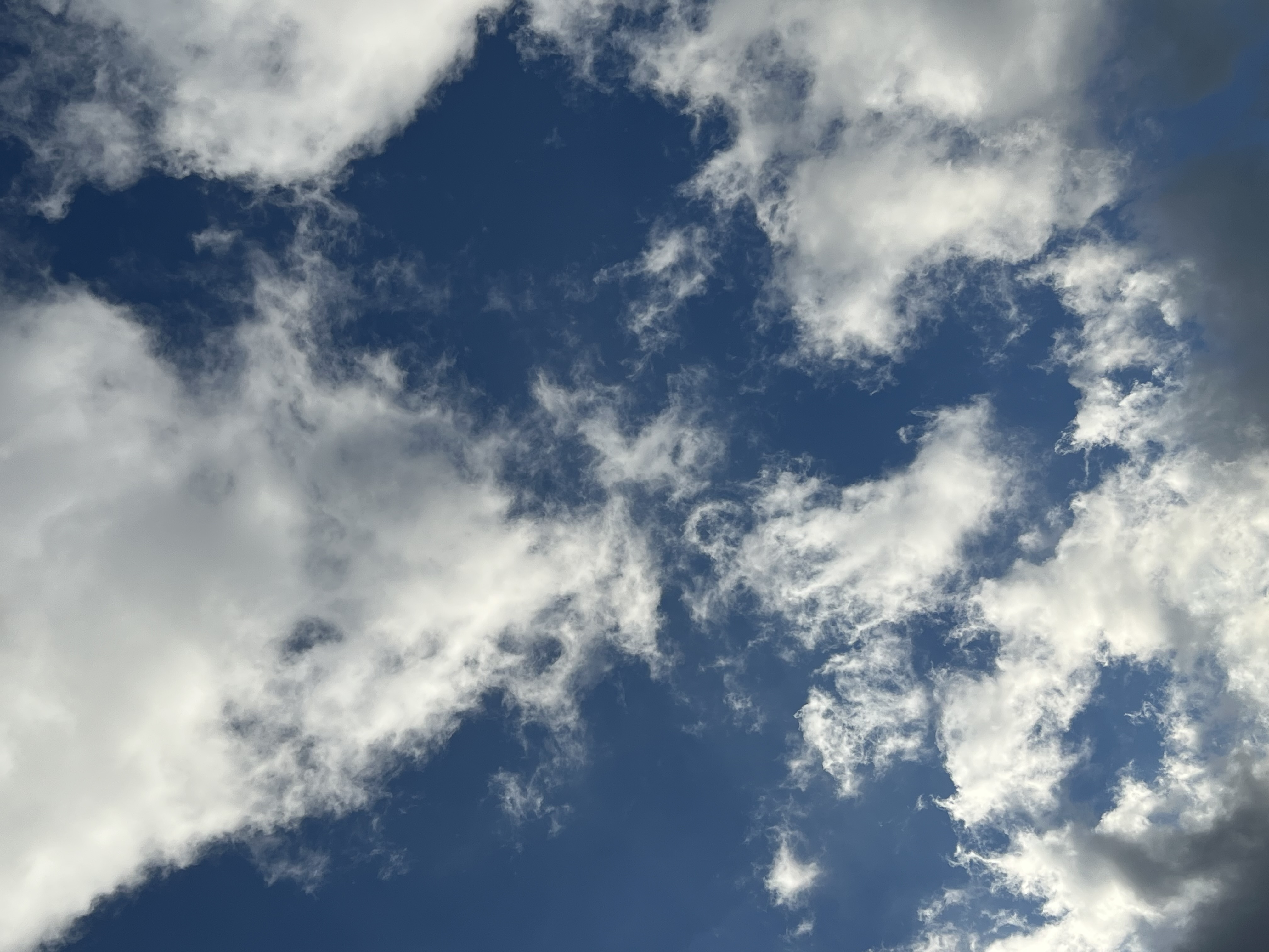 Solved How many different cloud types do you see in these | Chegg.com