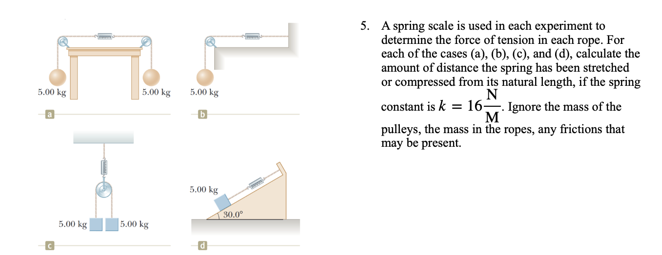 Solved 5. A spring scale is used in each experiment to | Chegg.com