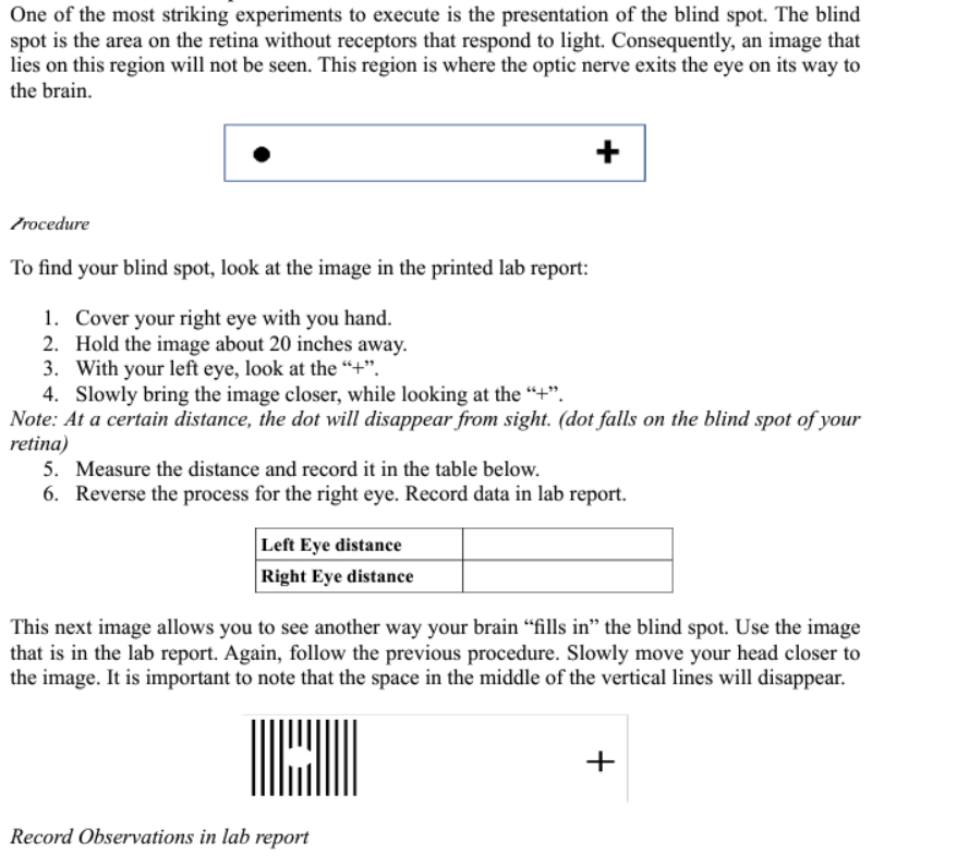One of the most striking experiments to execute is | Chegg.com