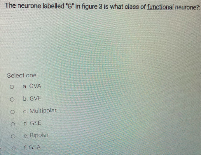 Solved Left Right F- H The neurone labelled "G" in figure | Chegg.com