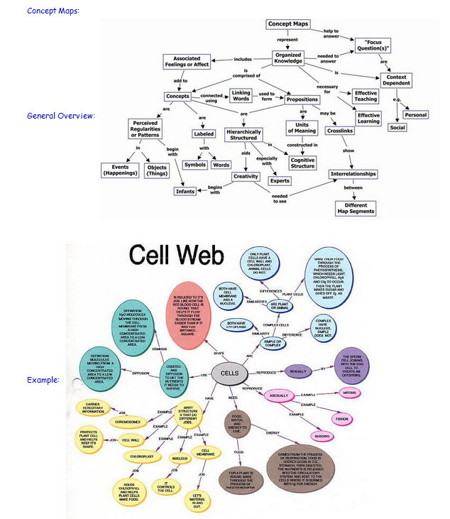 Solved Urinary System Concept Map Urinary System Concept Map | Chegg.com Solved Urinary System Concept Map Urinary System Concept Map | Chegg.com