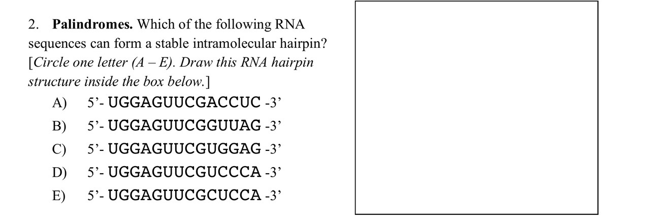 Solved 2 Palindromes Which Of The Following Rna Sequences 