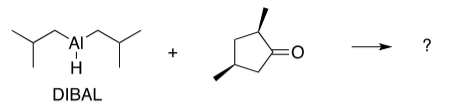 Solved The reagent below is diisobutylaluminum hydride | Chegg.com
