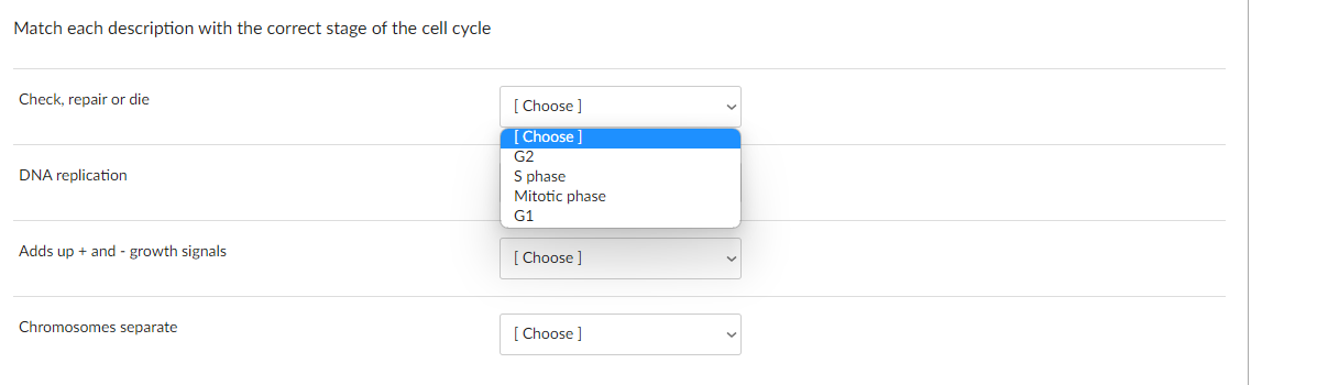 Solved Match each description with the correct stage of the | Chegg.com