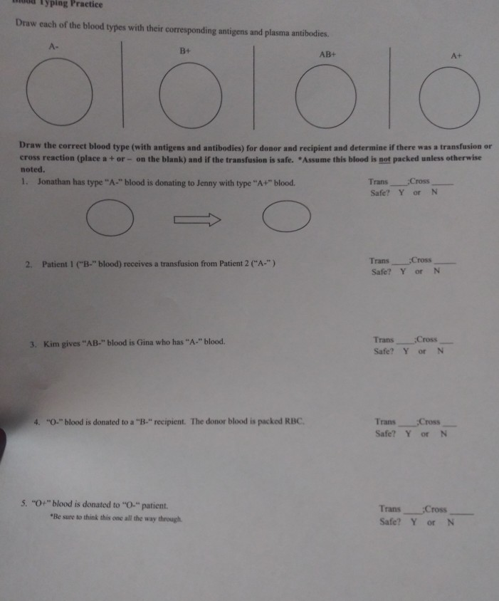 Solved W Typing Practice Draw each of the blood types with | Chegg.com