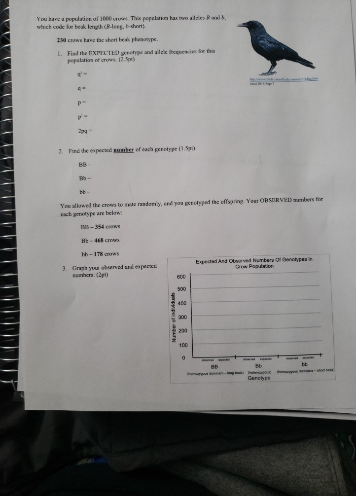 Solved You have a population of 1000 crows. This population | Chegg.com