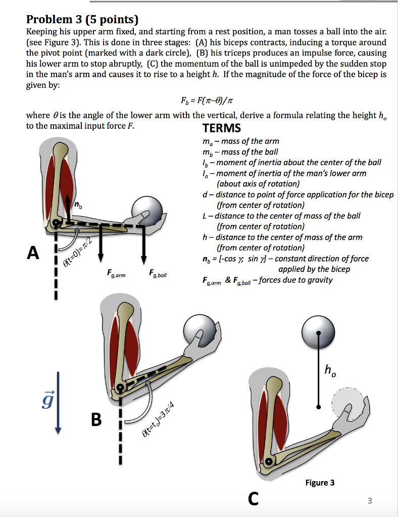 Solved Problem 3 (5 points) Keeping his upper arm fixed, and | Chegg.com