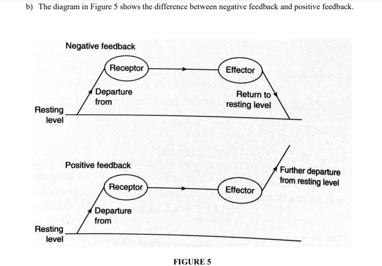 Solved b) The diagram in Figure 5 shows the difference | Chegg.com