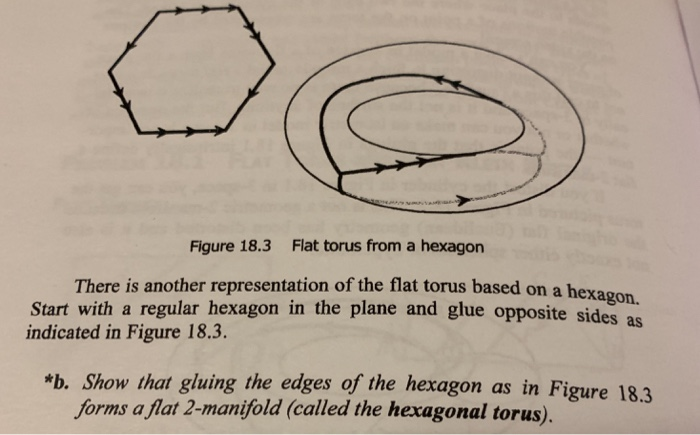 Solved Flat torus from a hexagon Figure 18.3 There is | Chegg.com