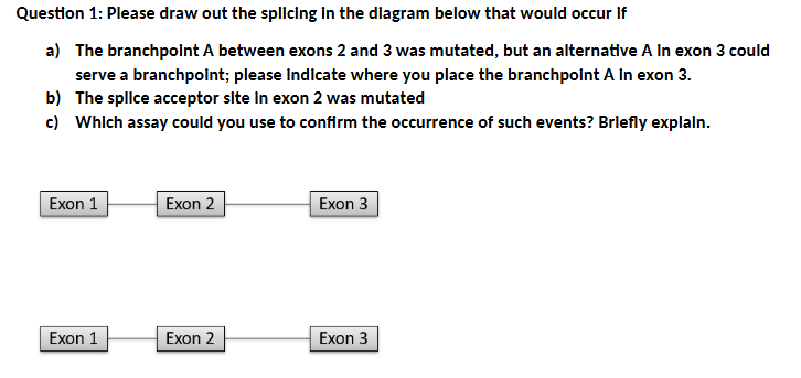 Solved Question 1: Please draw out the splicing in the | Chegg.com
