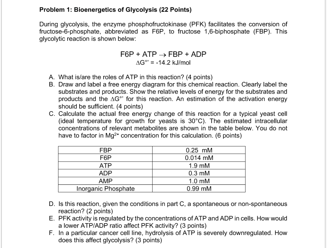 During glycolysis, the enzyme phosphofructokinase | Chegg.com